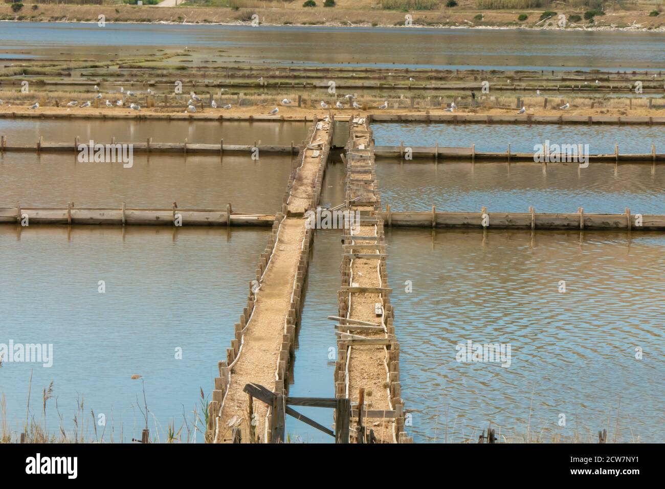 Old Saline salt factory on island Pag. Producing traditional salt from ...