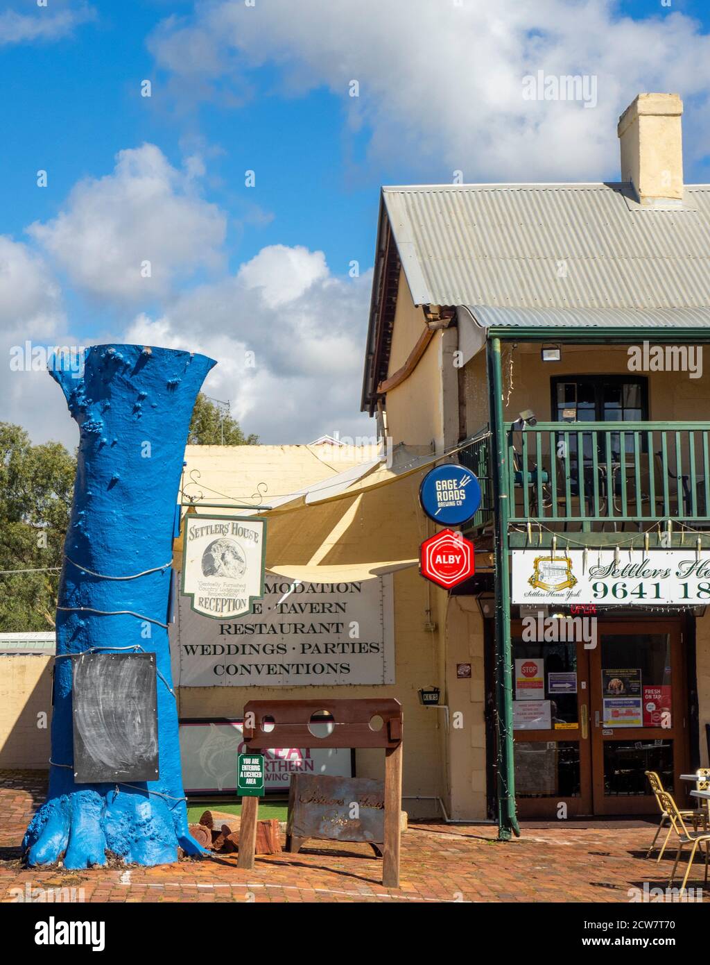 Blue Tree Project a painted dead tree to bring attention to mental ...