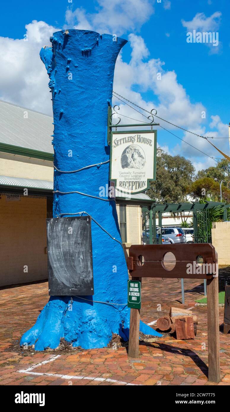 Ok tree hi-res stock photography and images - Alamy