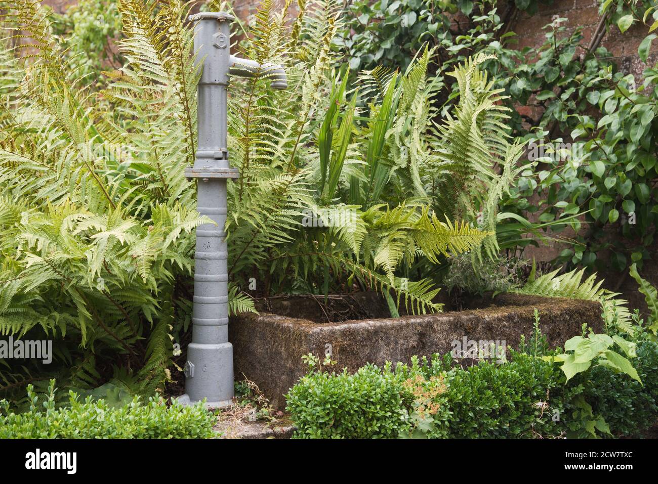 ornamental water feature surrounded by plant foliage Stock Photo - Alamy