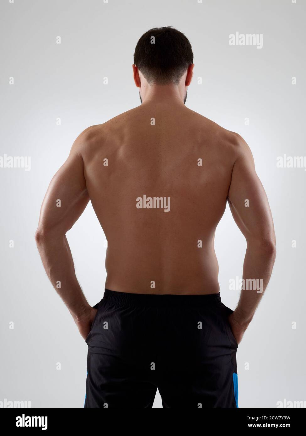 Shirtless muscular torso, isolated on gray Stock Photo - Alamy