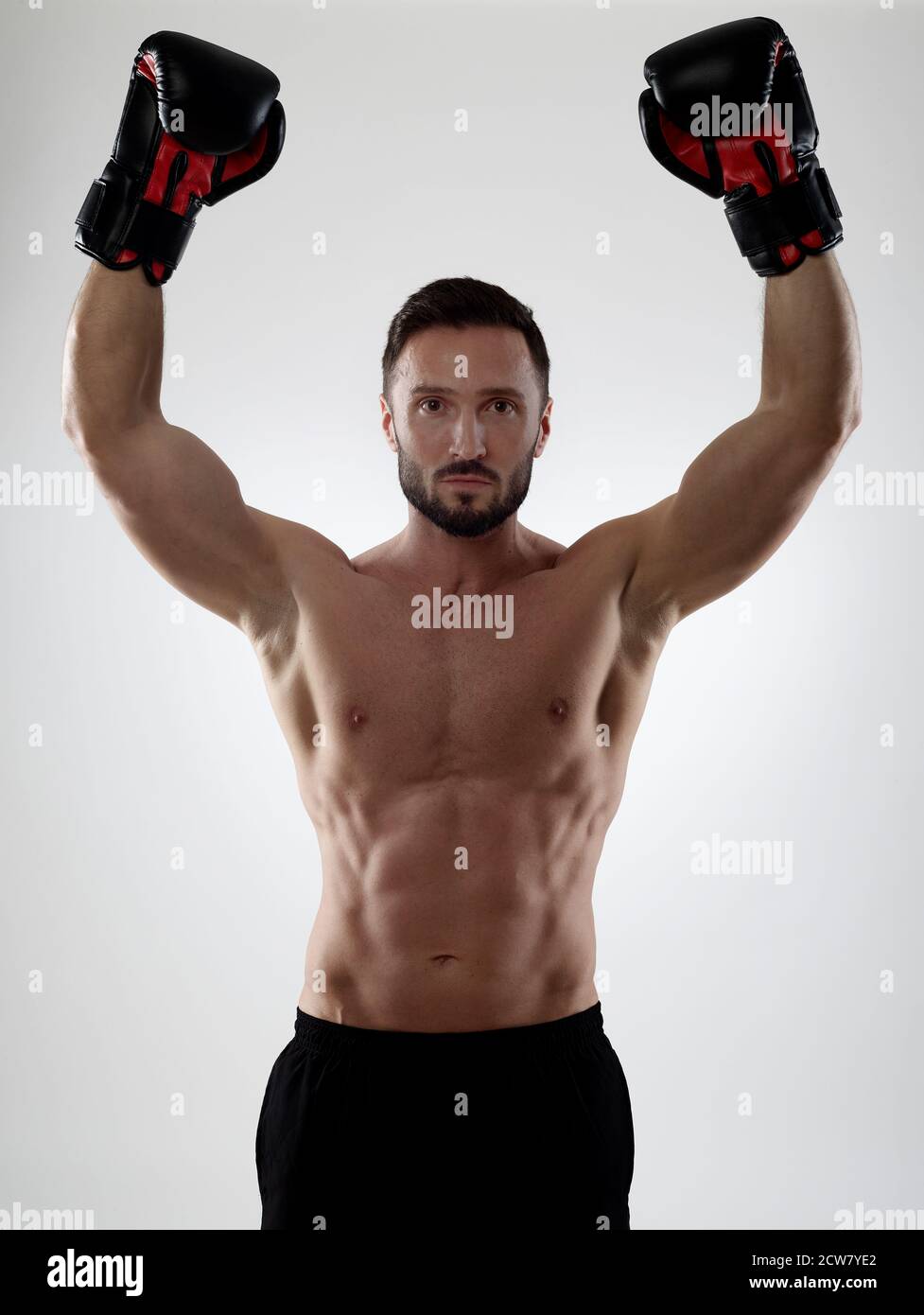 Successful boxer with hands up Stock Photo - Alamy