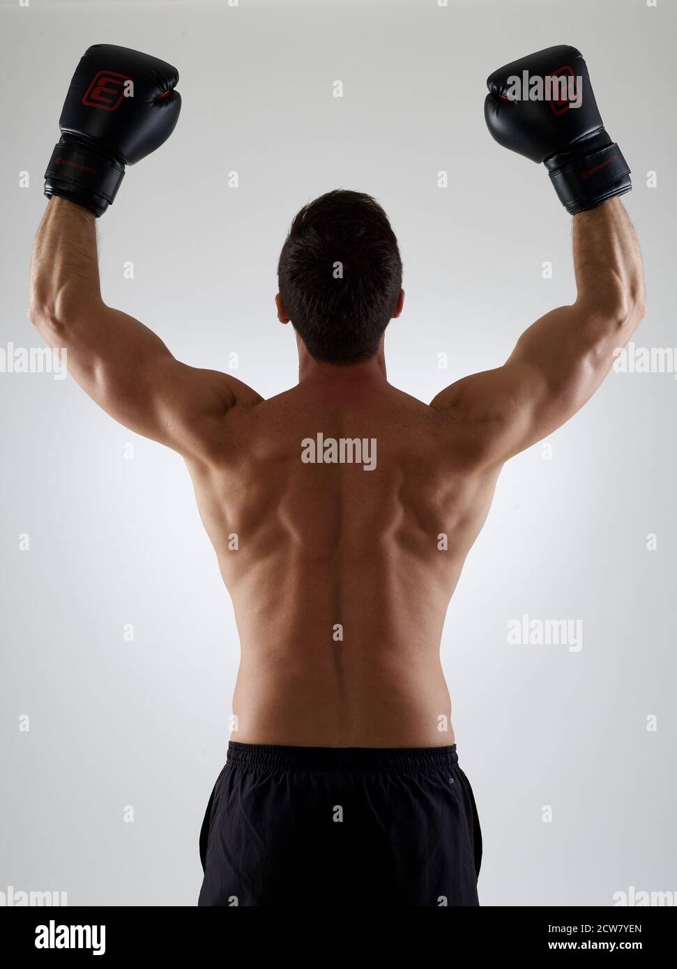 Shirtless muscular boxer raising his hands Stock Photo - Alamy