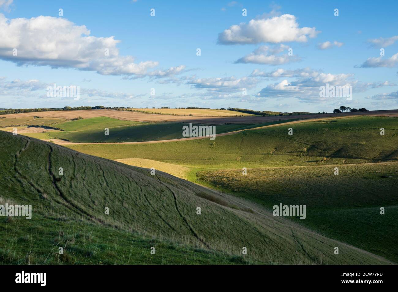 Kingdom of wessex hi-res stock photography and images - Alamy