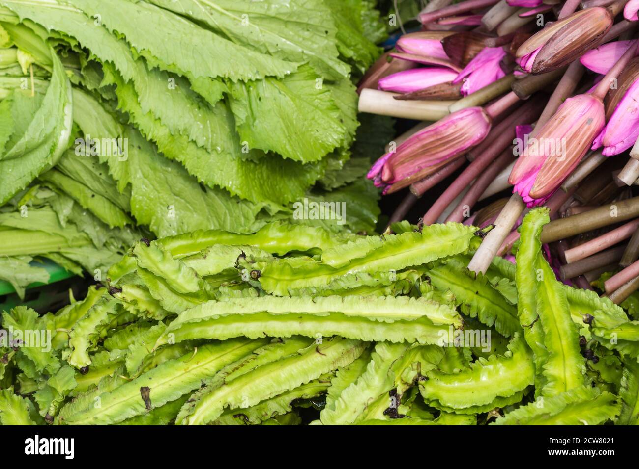 Sigarilyas Clipart Of Flowers