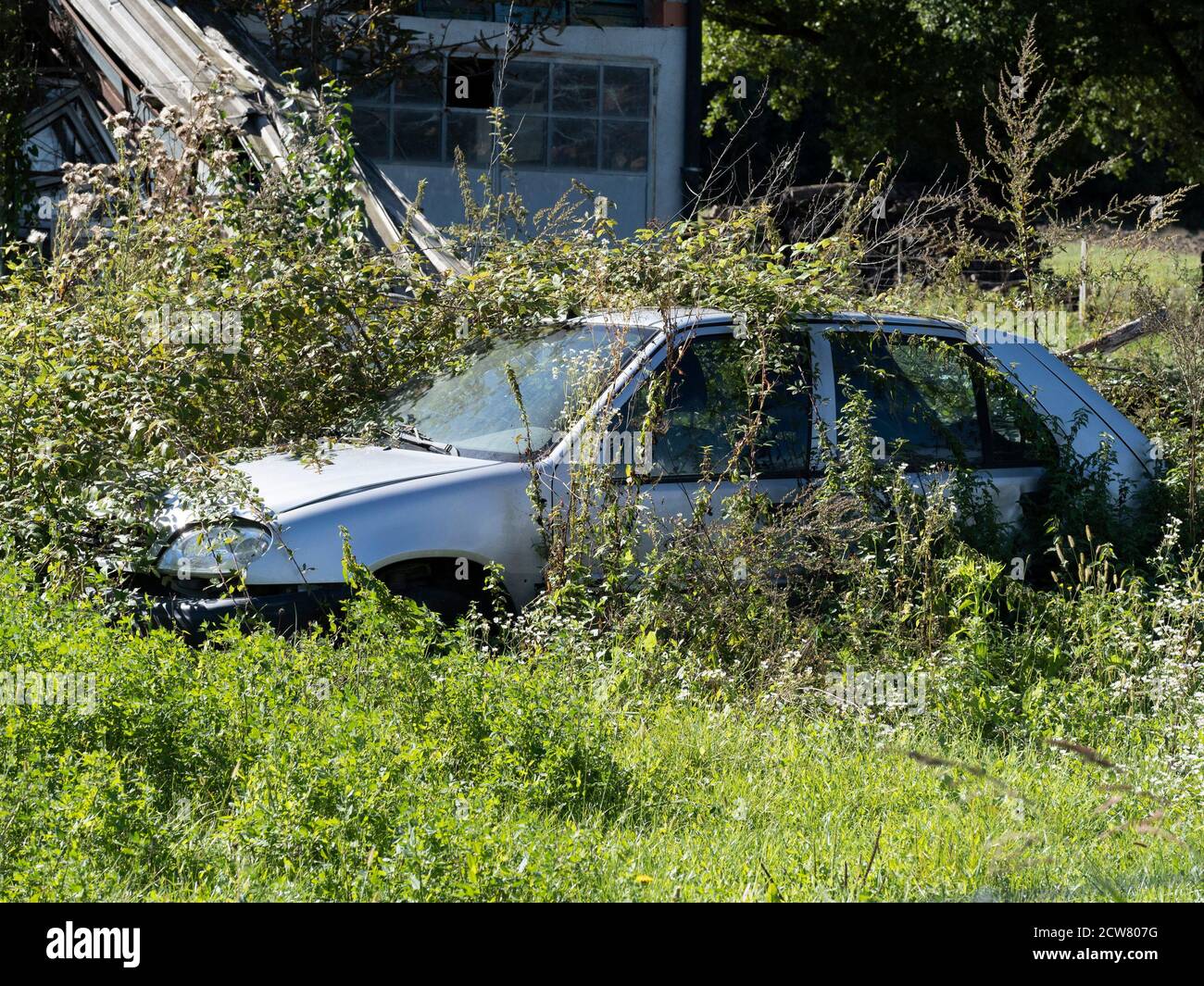 Old abandoned rugged Rusted Car Stock Photo - Alamy