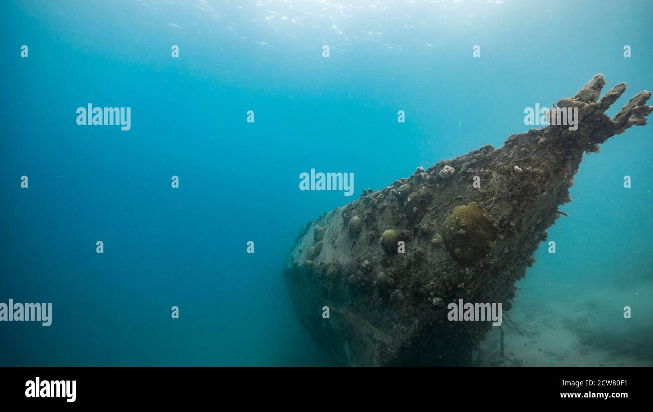 Caribbean fish at tugboat wreck hi-res stock photography and images - Alamy