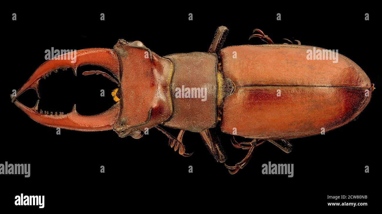 10 18 07 hi-res stock photography and images - Alamy