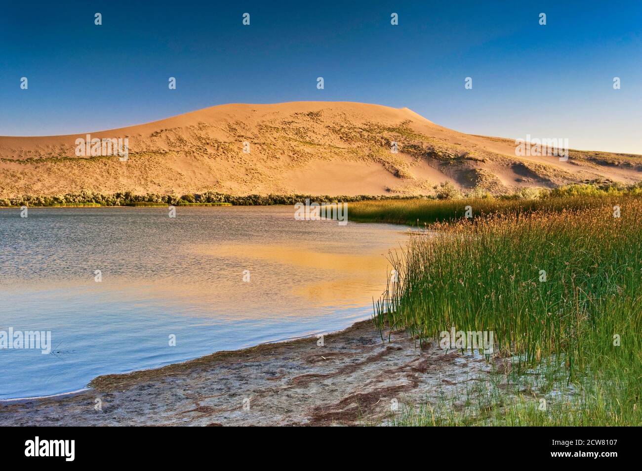 Big dune hi-res stock photography and images - Alamy