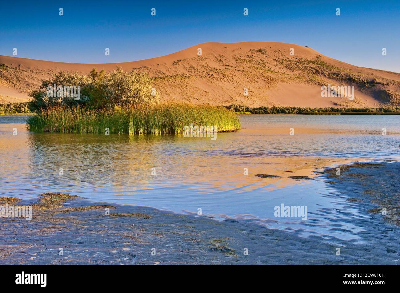 Owyhee state park hi-res stock photography and images - Alamy