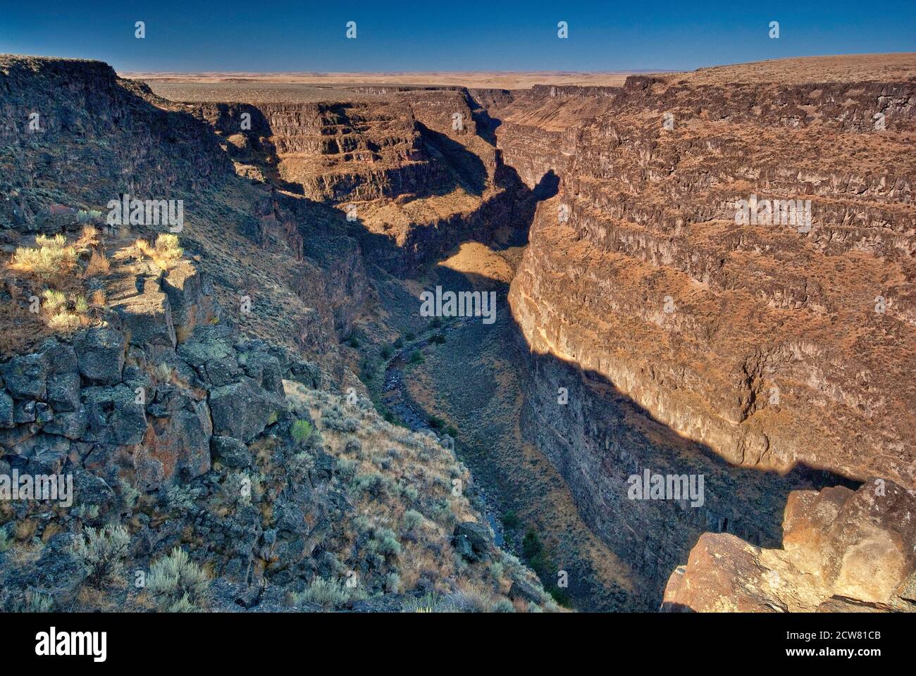 Bruneau River Canyon in High Desert region, Idaho, USA Stock Photo - Alamy