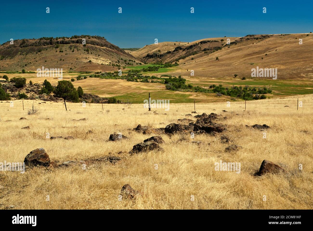 America outdoors owyhee hi-res stock photography and images - Alamy