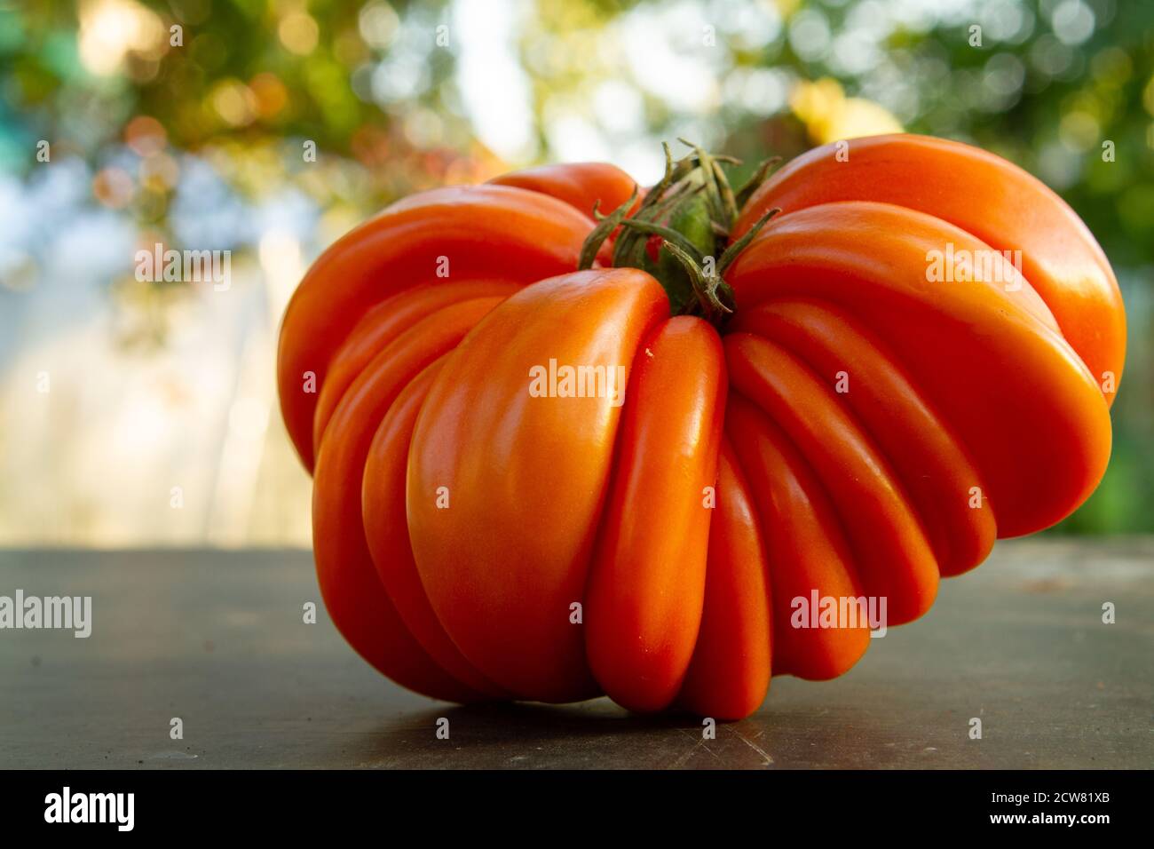 Ribbed tomatoes hi-res stock photography and images - Alamy