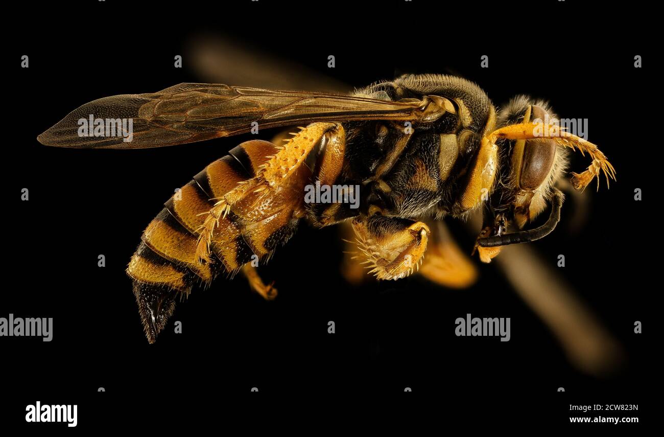 Rich kruger hi-res stock photography and images - Alamy