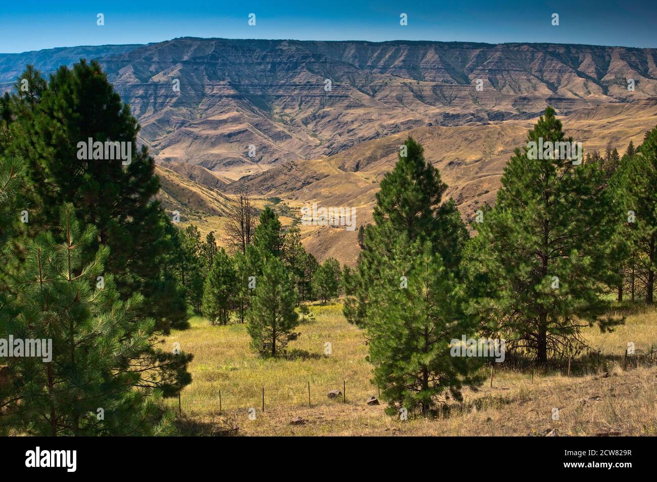 Pittsburg saddle hi-res stock photography and images - Alamy