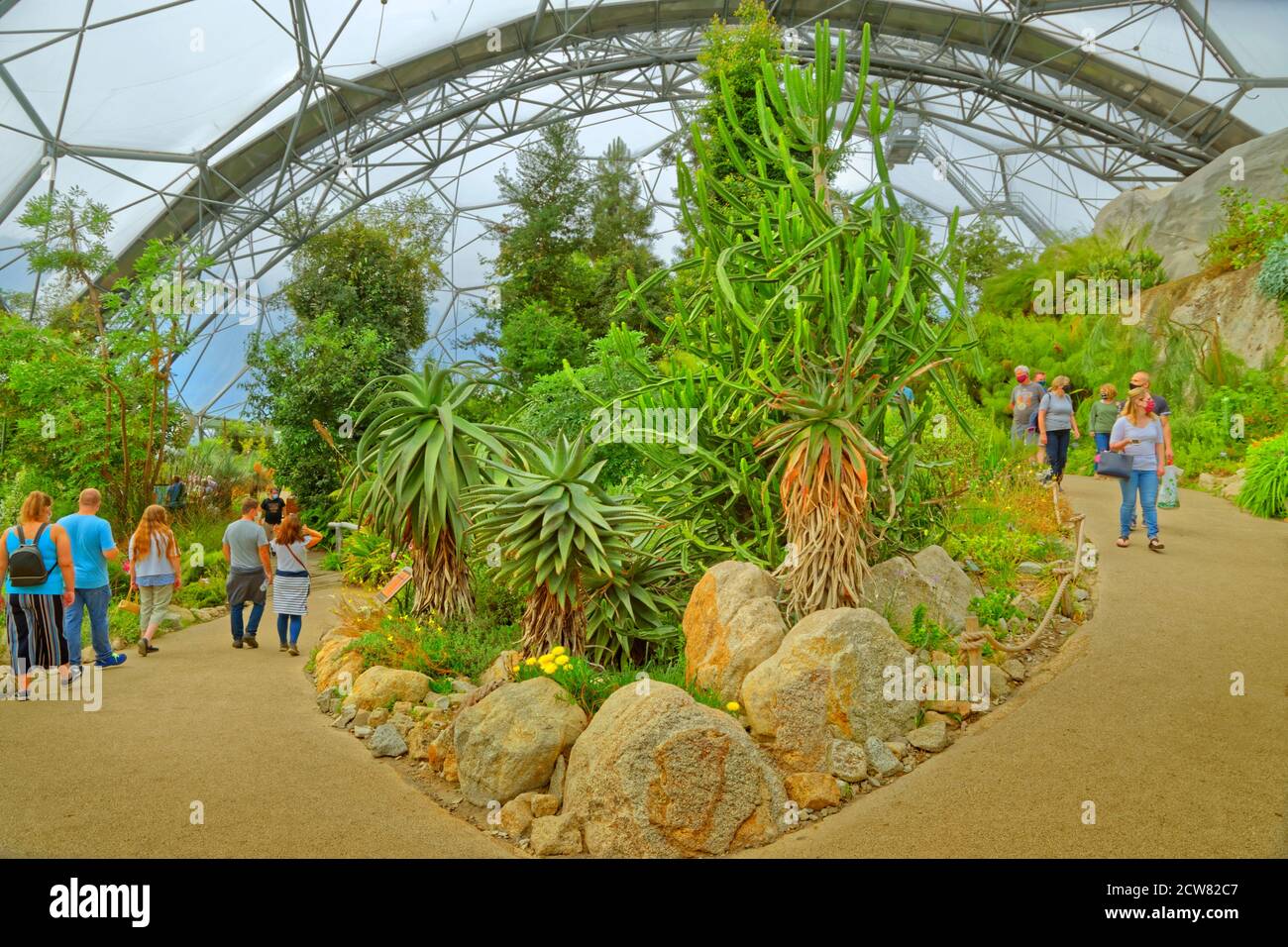 Eden project cornwall interior hi-res stock photography and images - Alamy