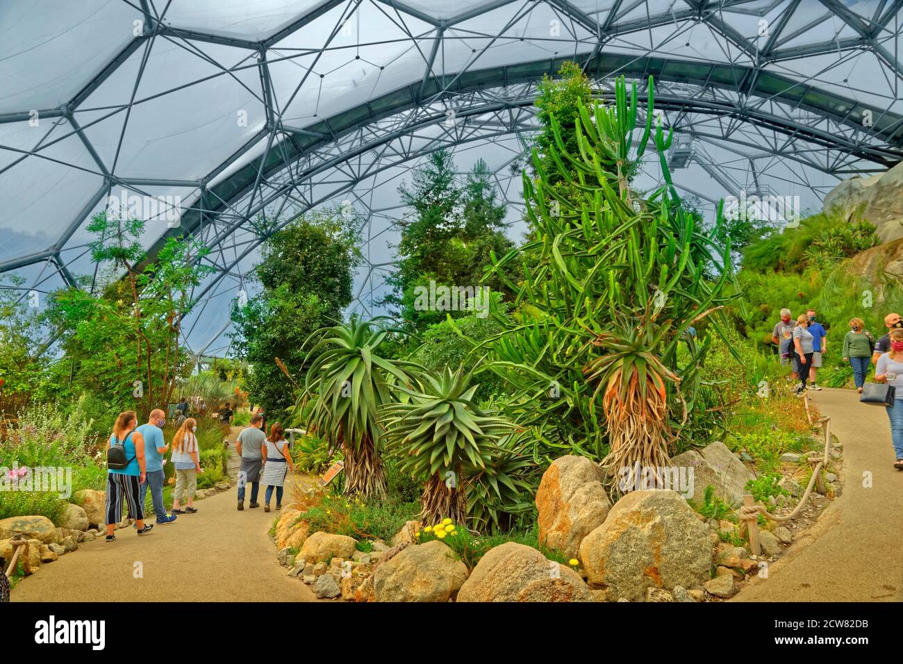 Eden project cornwall interior hi-res stock photography and images - Alamy