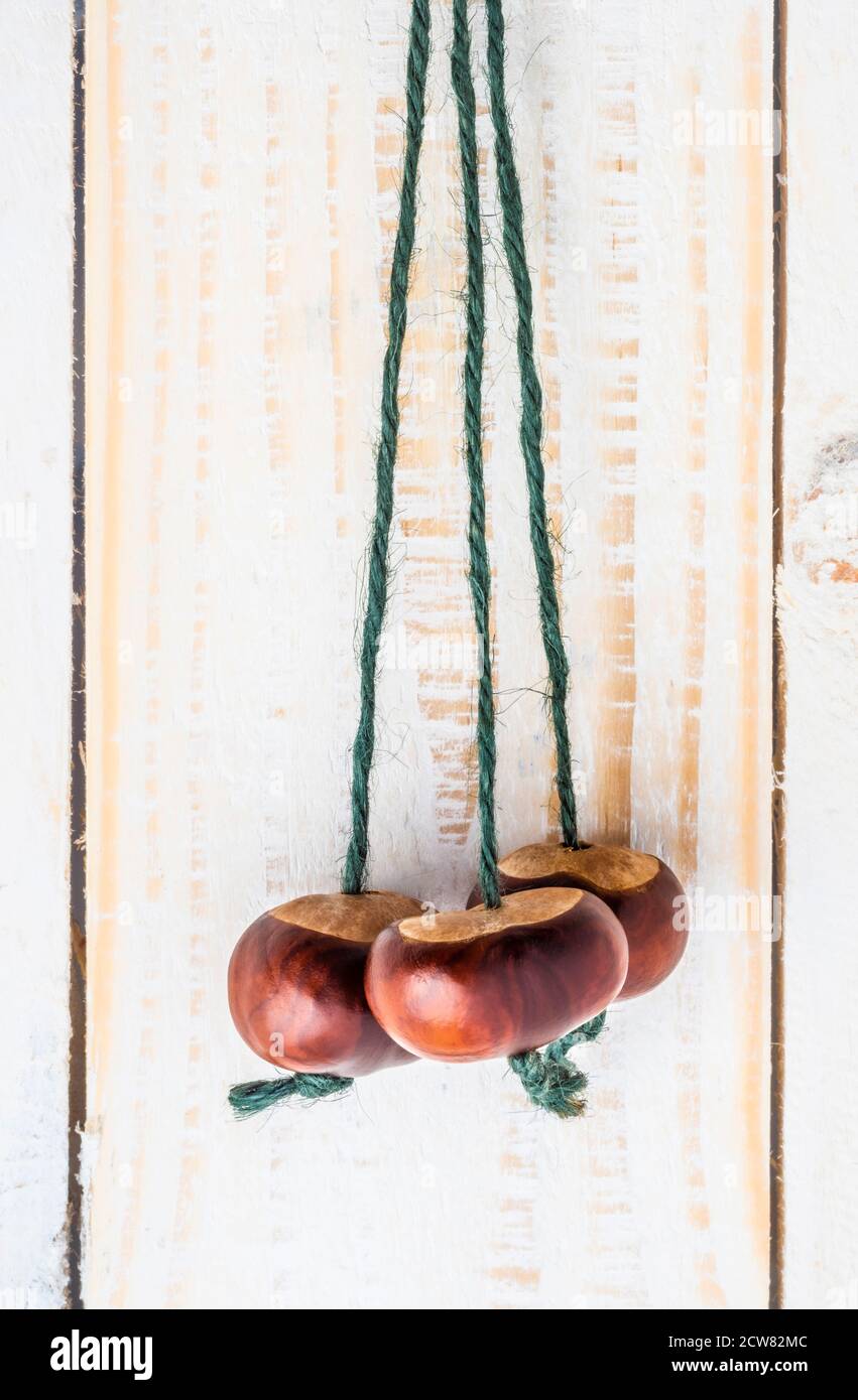 Conkers on strings hi-res stock photography and images - Alamy