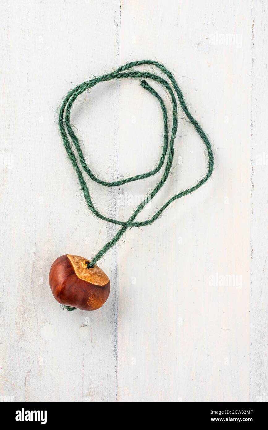 Conkers game uk hi-res stock photography and images - Alamy