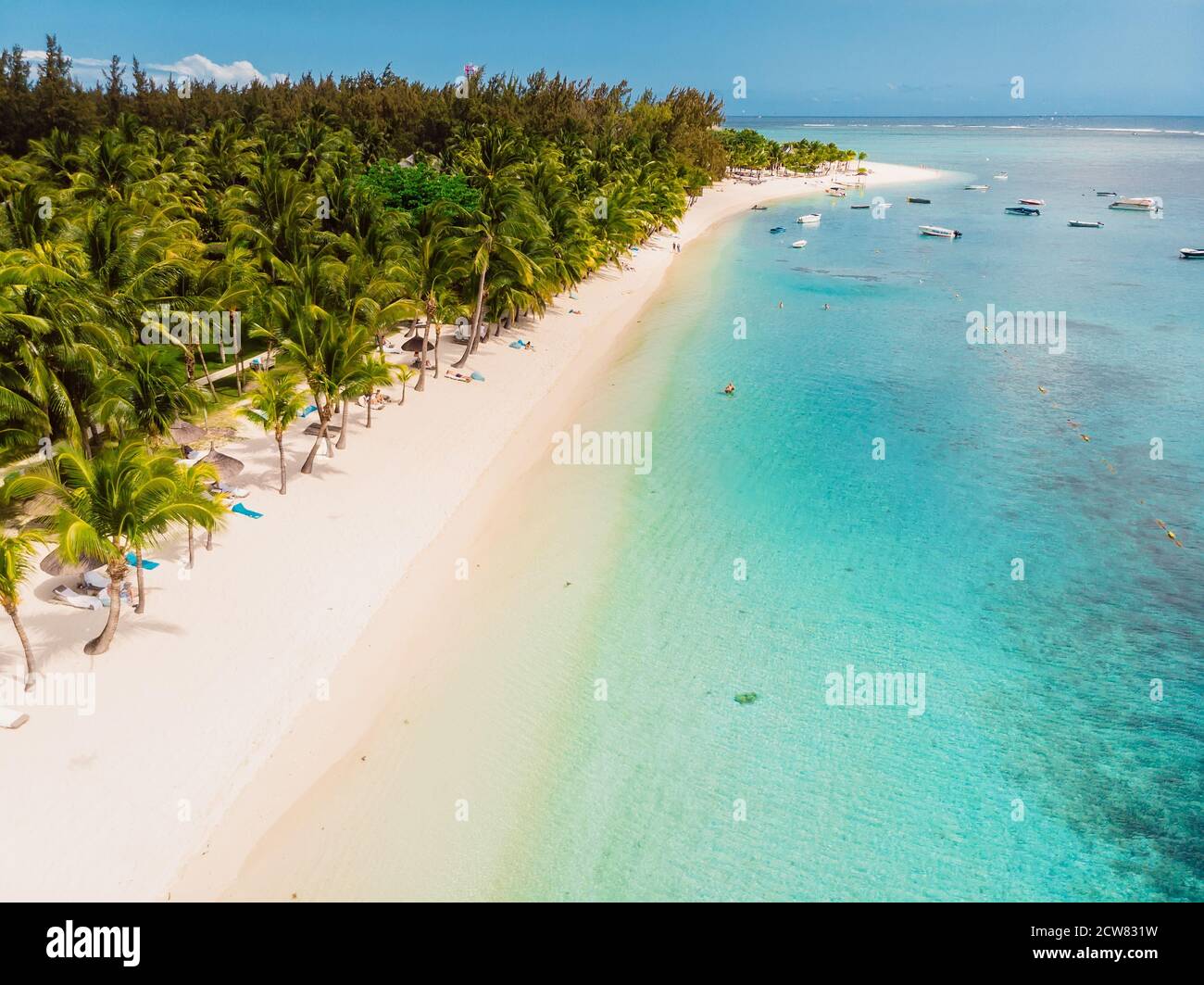 Luxury tropical beach in Mauritius. Sandy beach with palms and blue ...