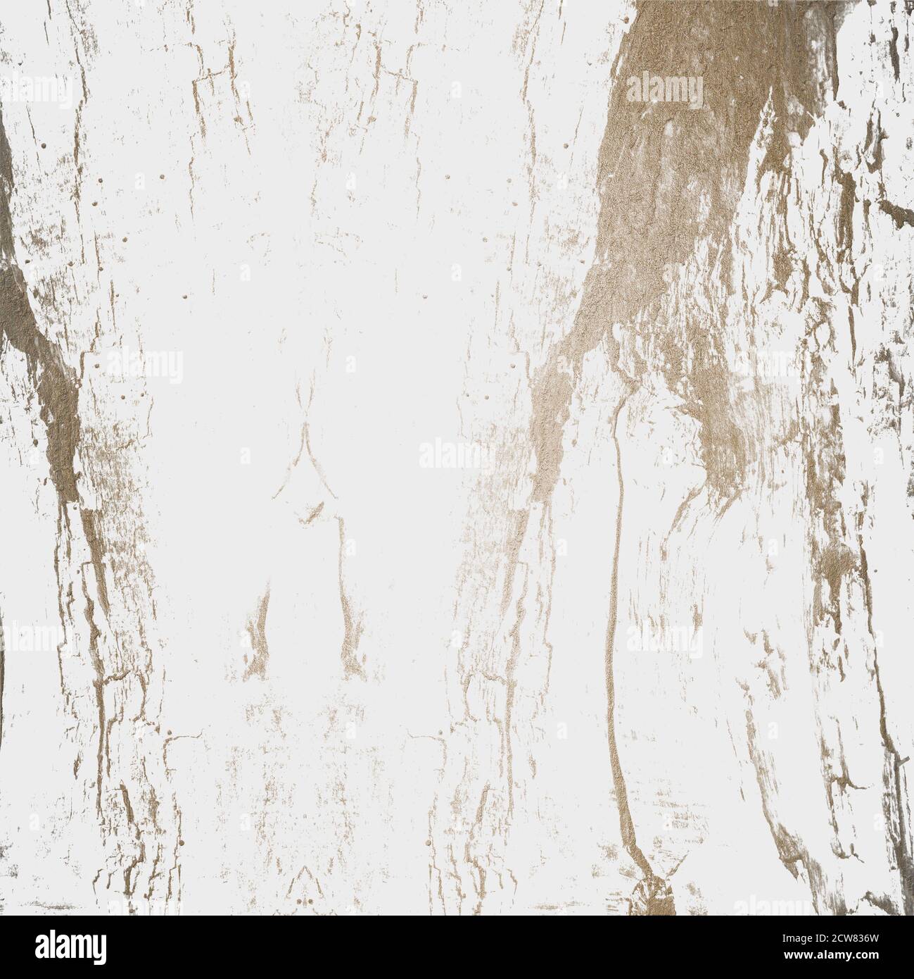 Light Gray Grunge Background