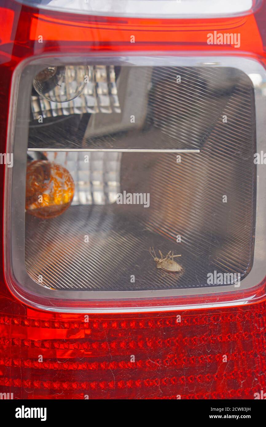 Rear car bulb hi-res stock photography and images - Alamy