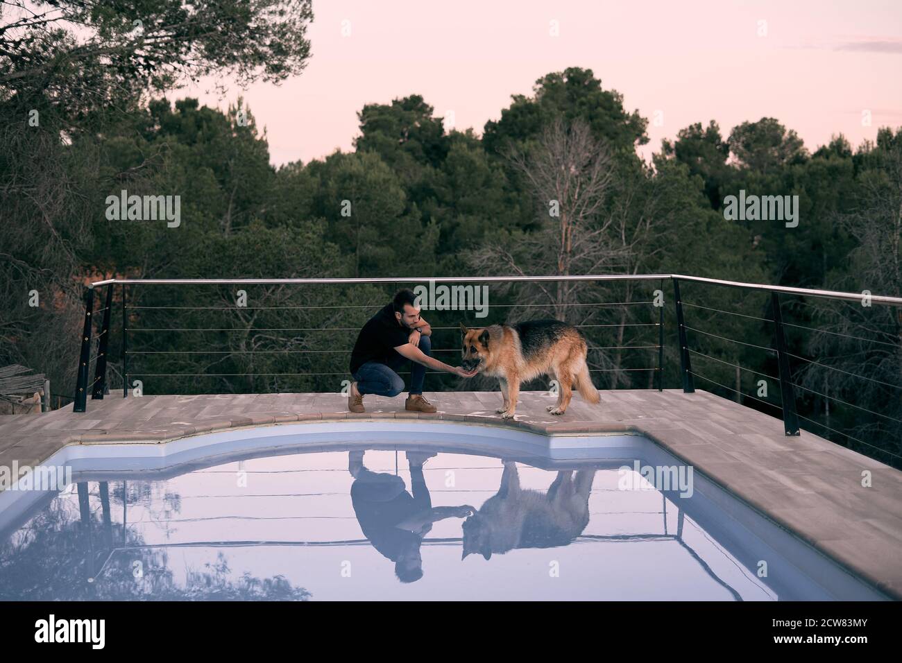 Mesmerizing shot of a young male playing with a german shepherd near ...
