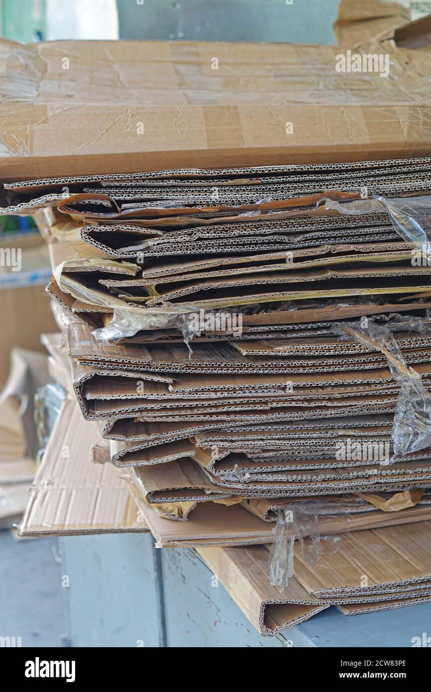 Cardboard carton for recycling in container Stock Photo - Alamy
