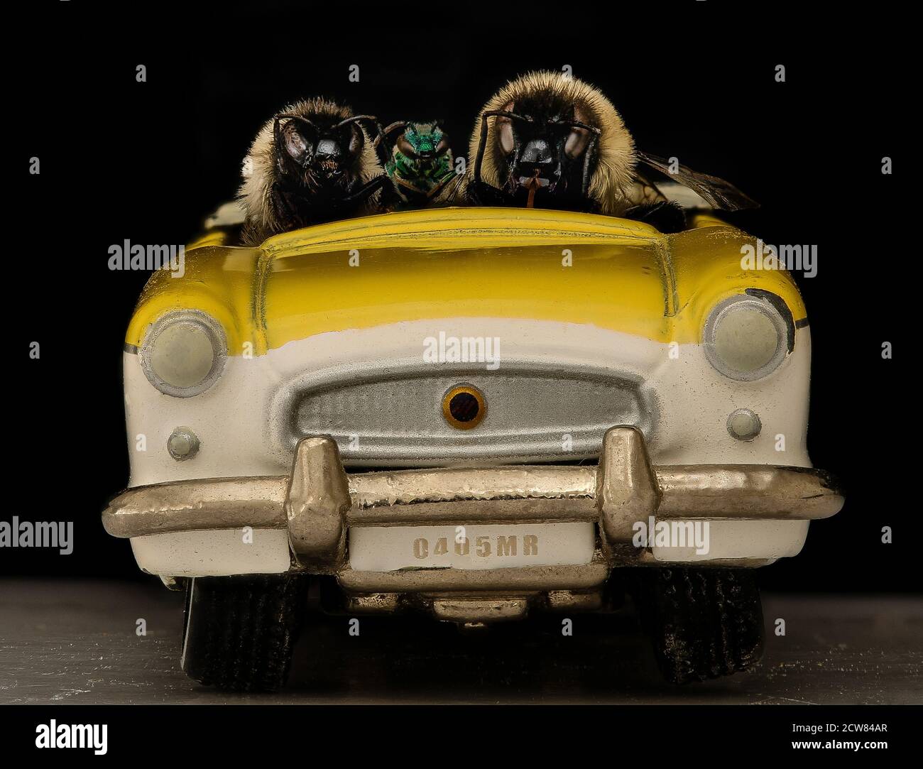 Bees cars hi-res stock photography and images - Alamy