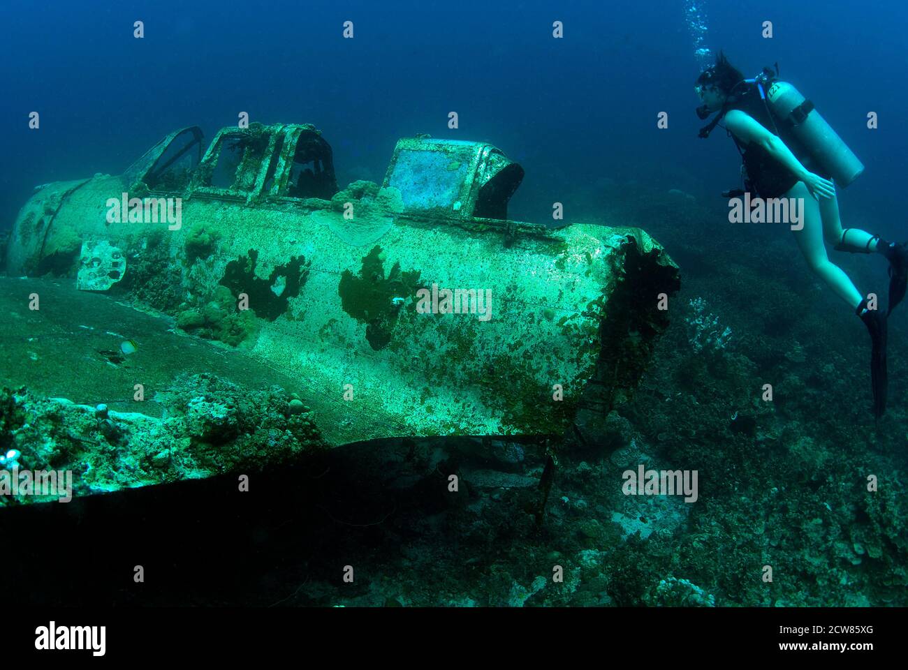 scuba diver at Jake Seaplane Stock Photo - Alamy