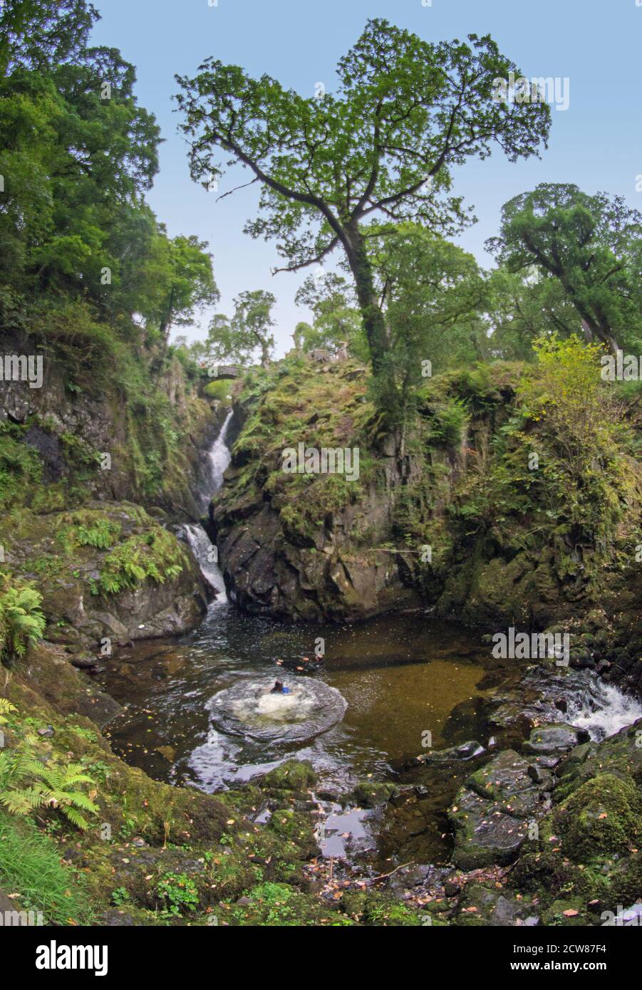 Aira Force, Waterfall near Pooley Bridge, Cumbria Stock Photo - Alamy