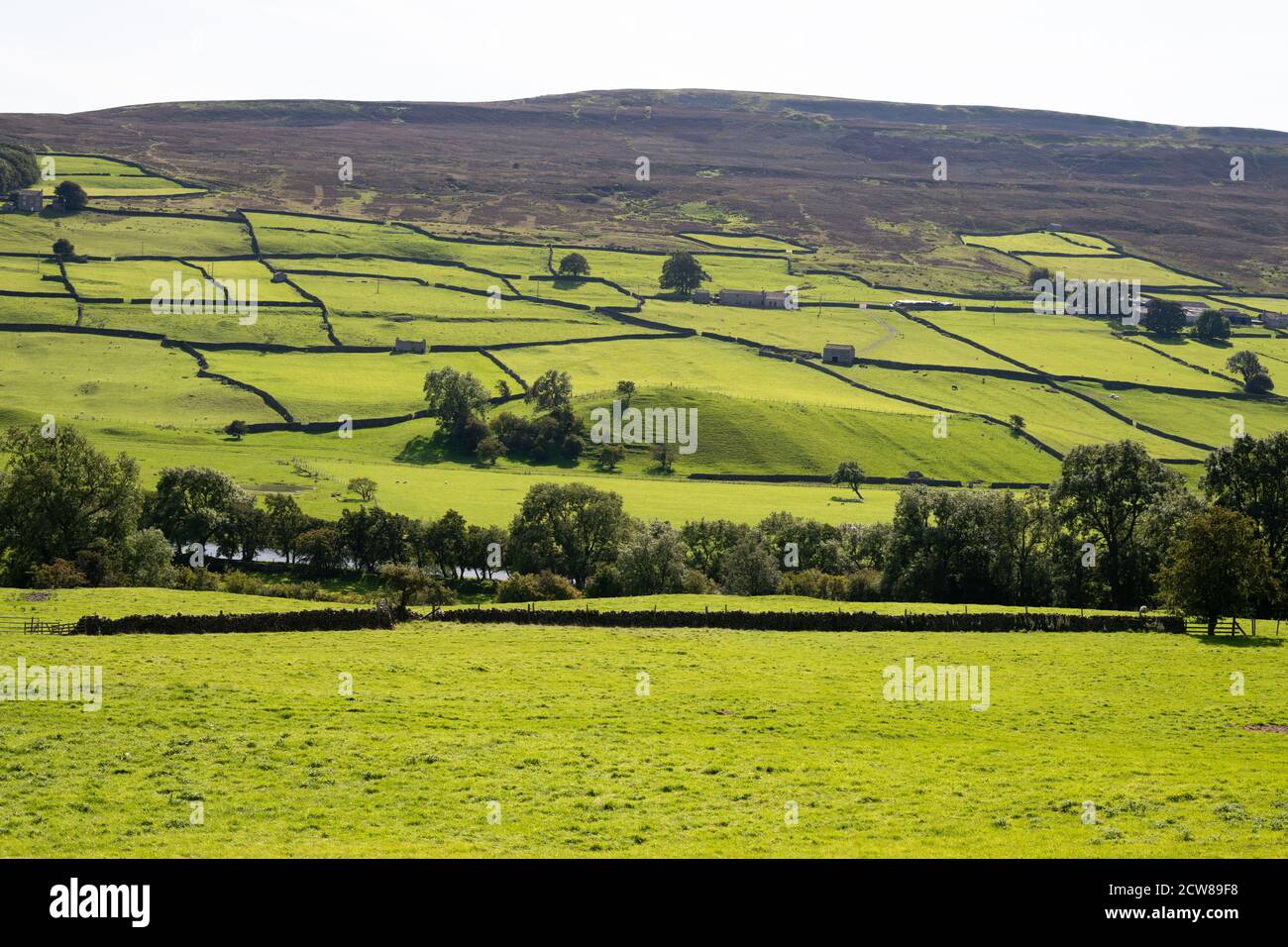 Yorkshire Dales - pattern of fields, dry stone walls and stone barns ...