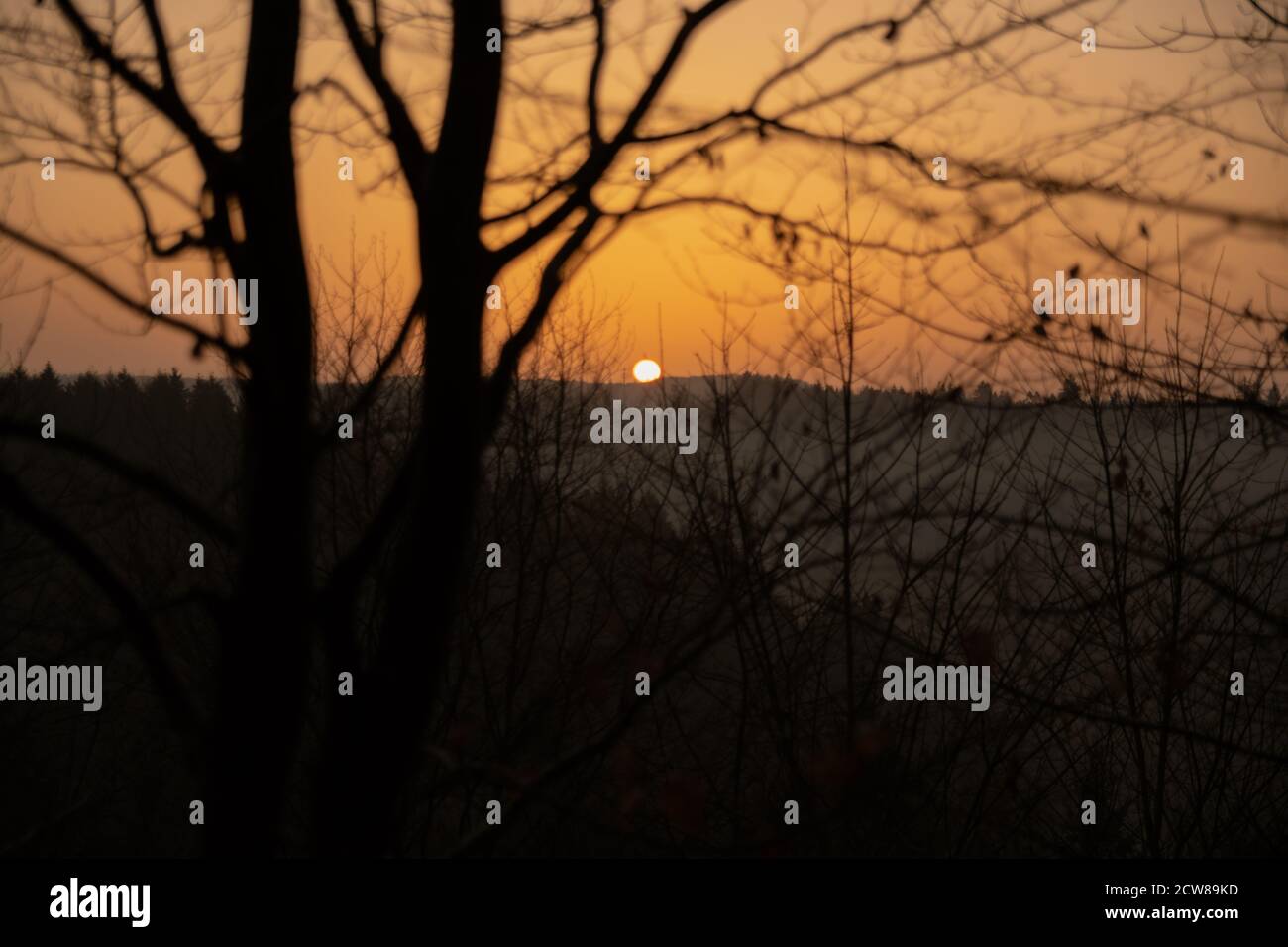 This is a sunrise through some trees in march Stock Photo - Alamy