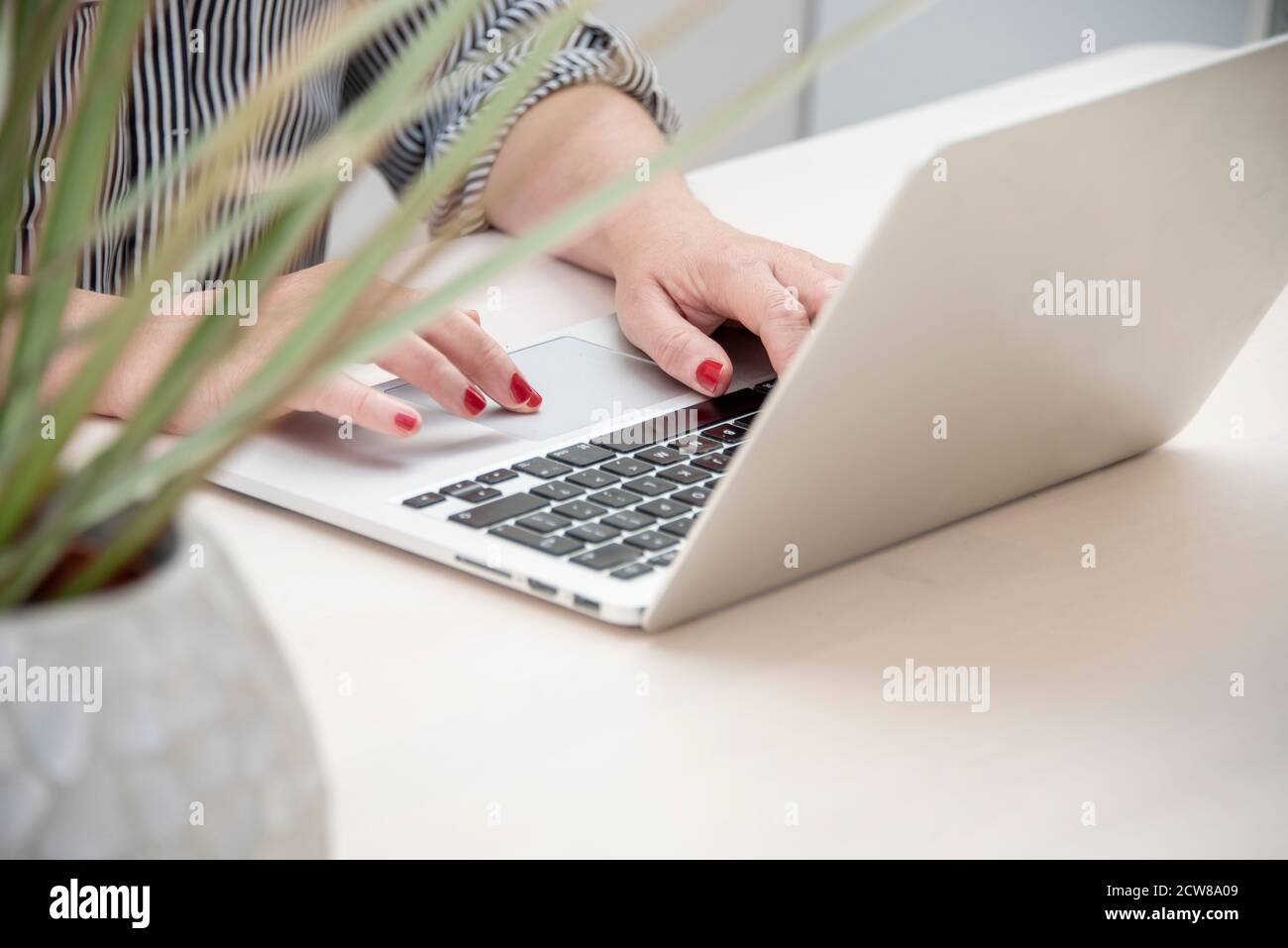 Candid close-up of female hands with red nails typing on the keyboard ...
