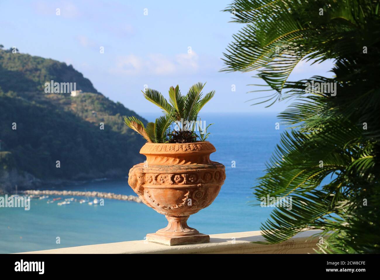 mediterranean landscape with palm in amphora Levanto Italy Stock Photo ...
