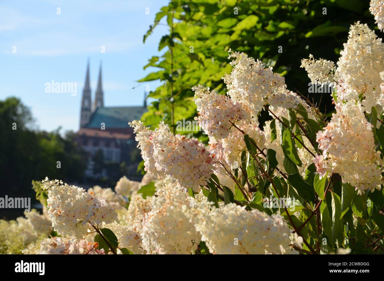 Zgorzelec hi-res stock photography and images - Alamy