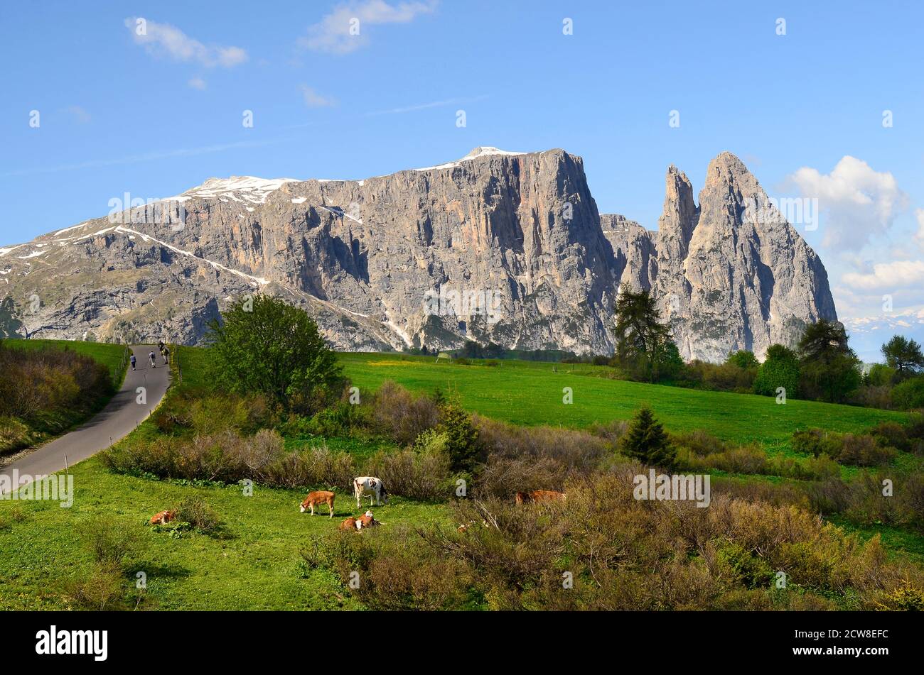Seis, Italy - Alpe di Siusi with Punta Santner rock formation Stock ...