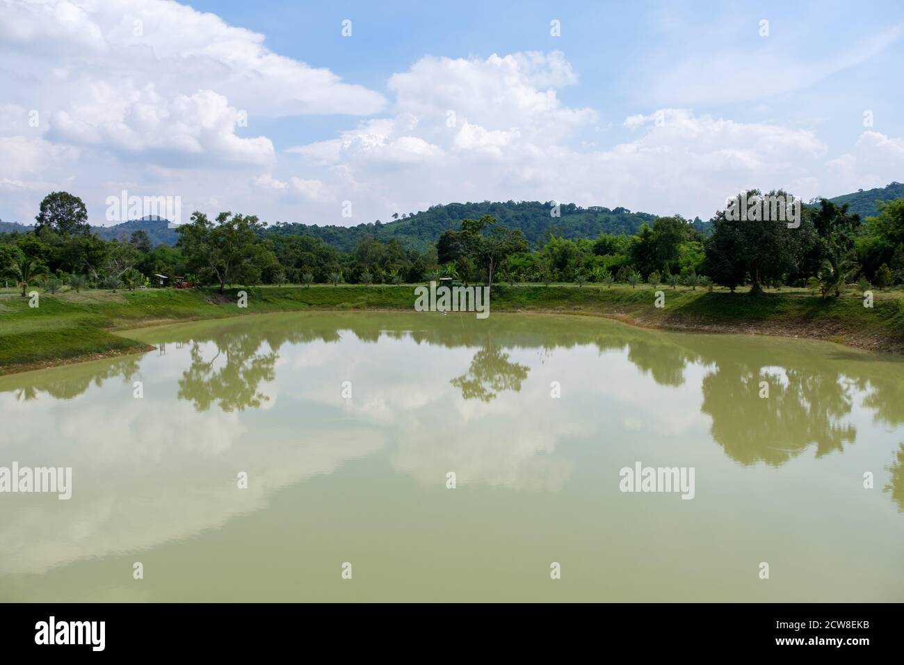Small reservoir for water retention to use in the countryside farm in ...