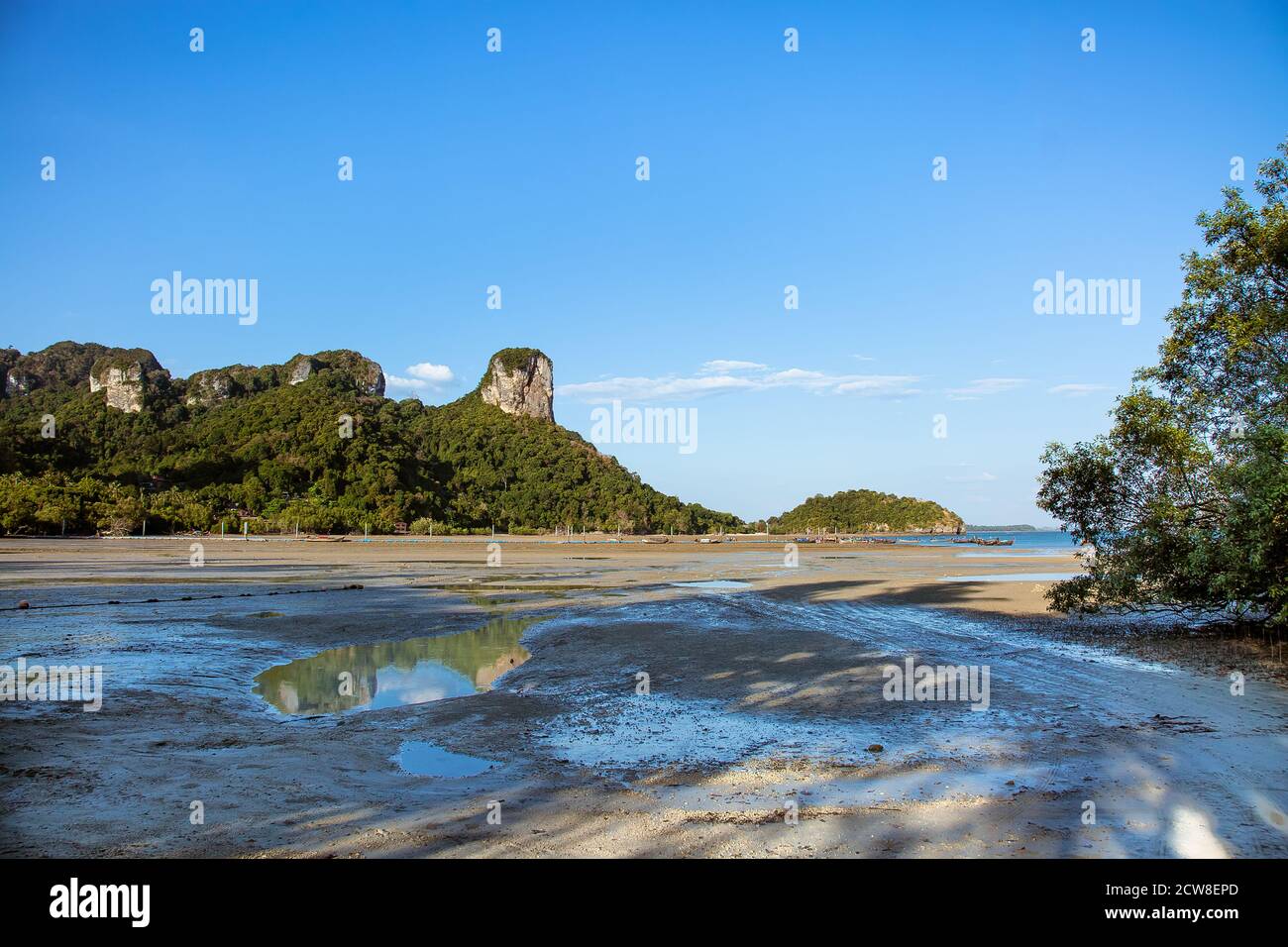 Very strong low tide on a tropical island Stock Photo - Alamy
