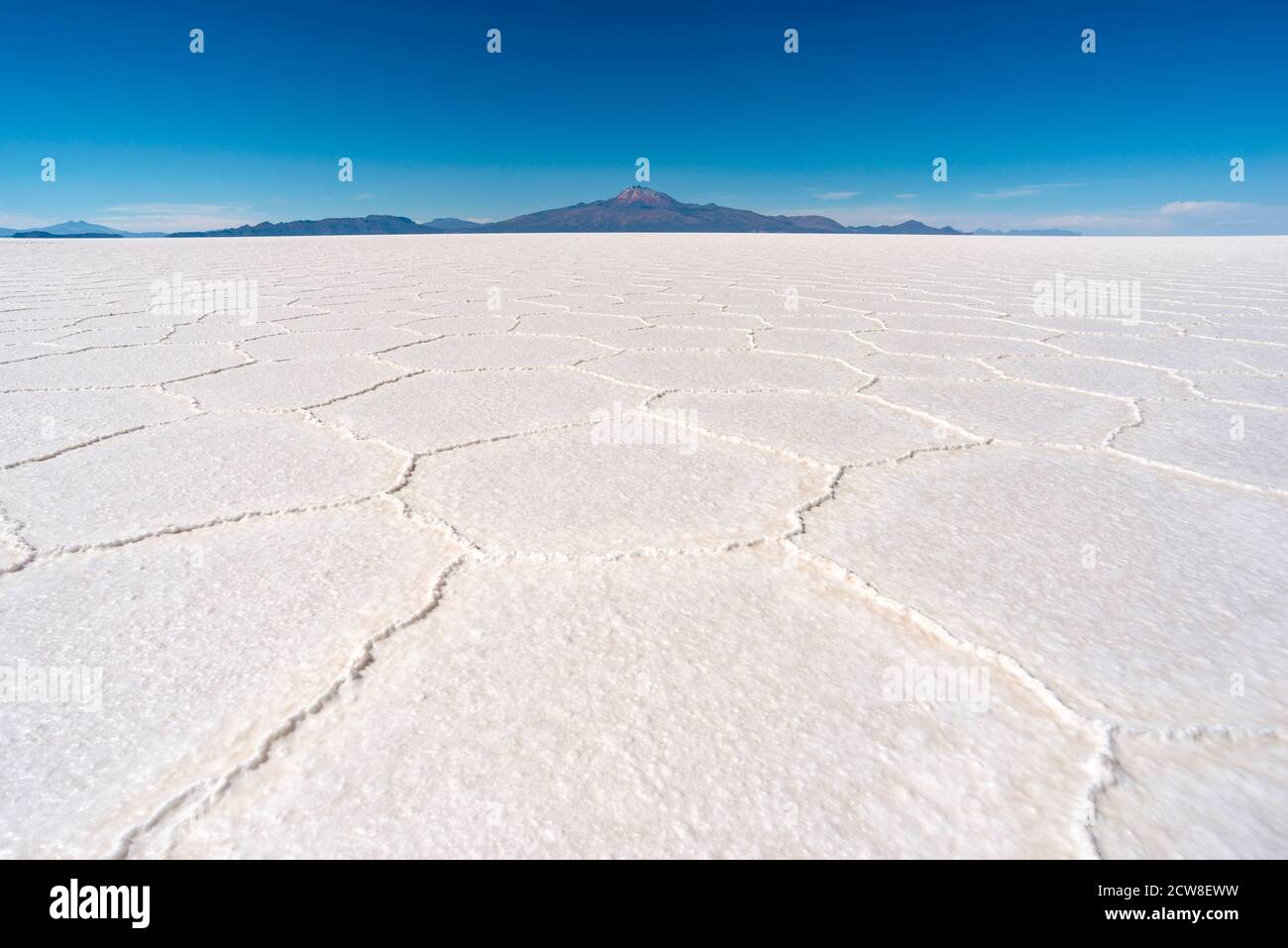 famous Salar de Uyuni salts with Tunupa volcano on horizon Stock Photo ...