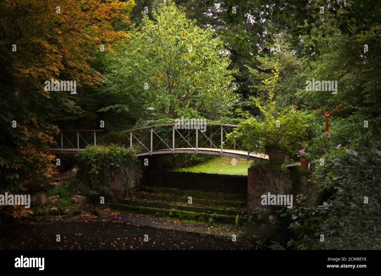 curved bridge over water in autumn Stock Photo - Alamy