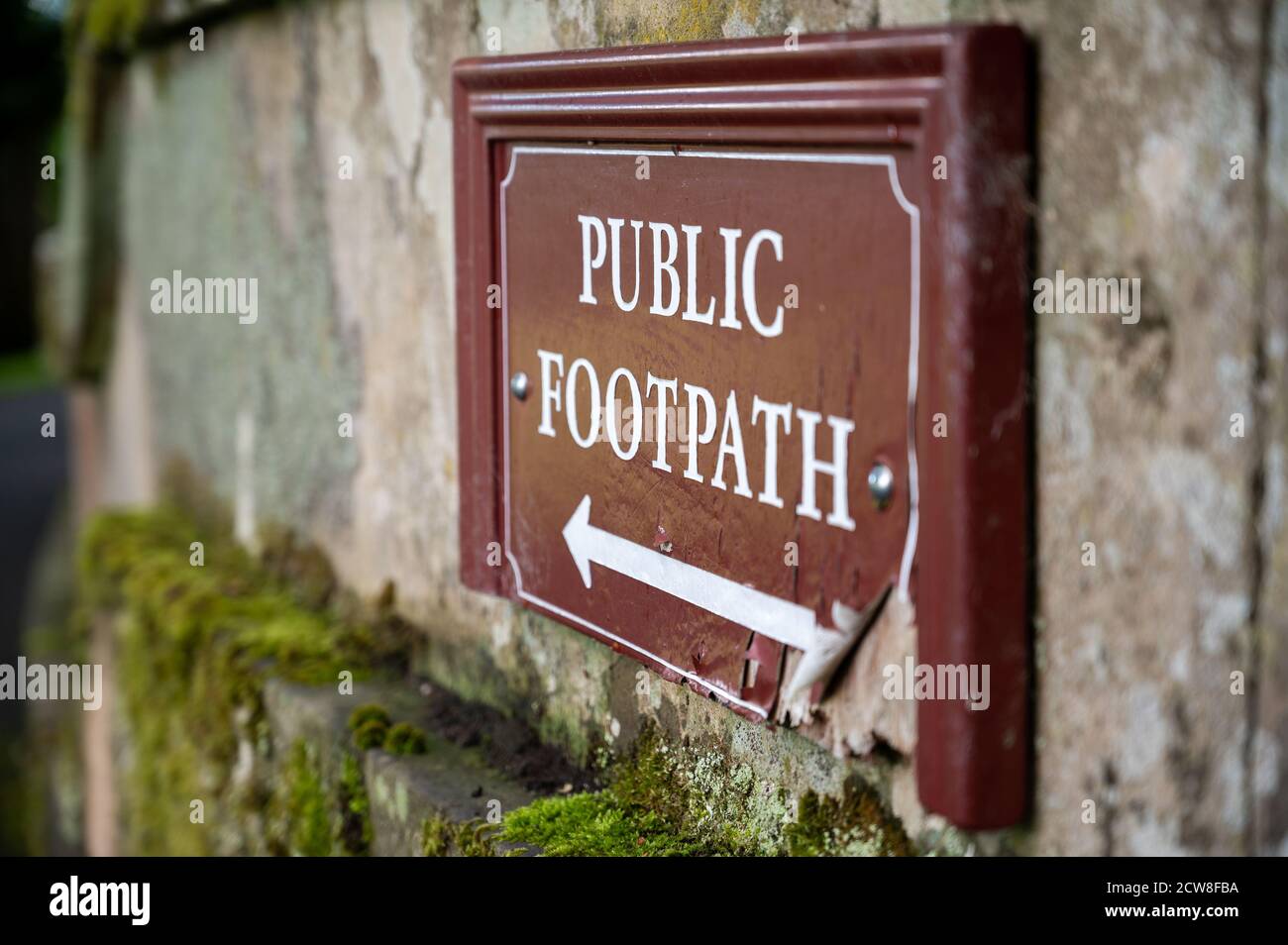 Moss Covered Wall High Resolution Stock Photography and Images - Alamy