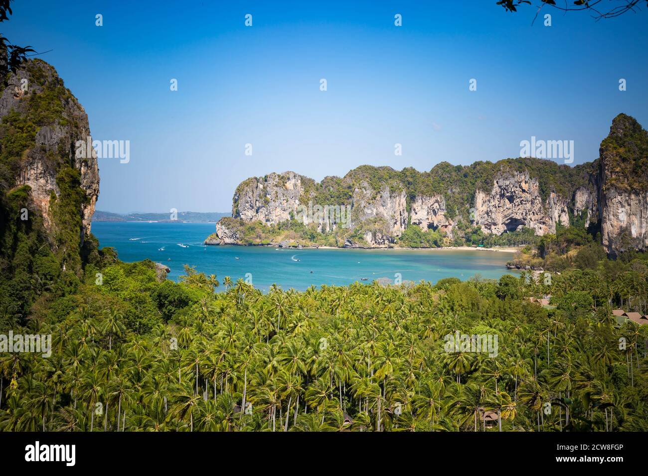 View of the tropical jungle and the bay with a sandy beach from the ...