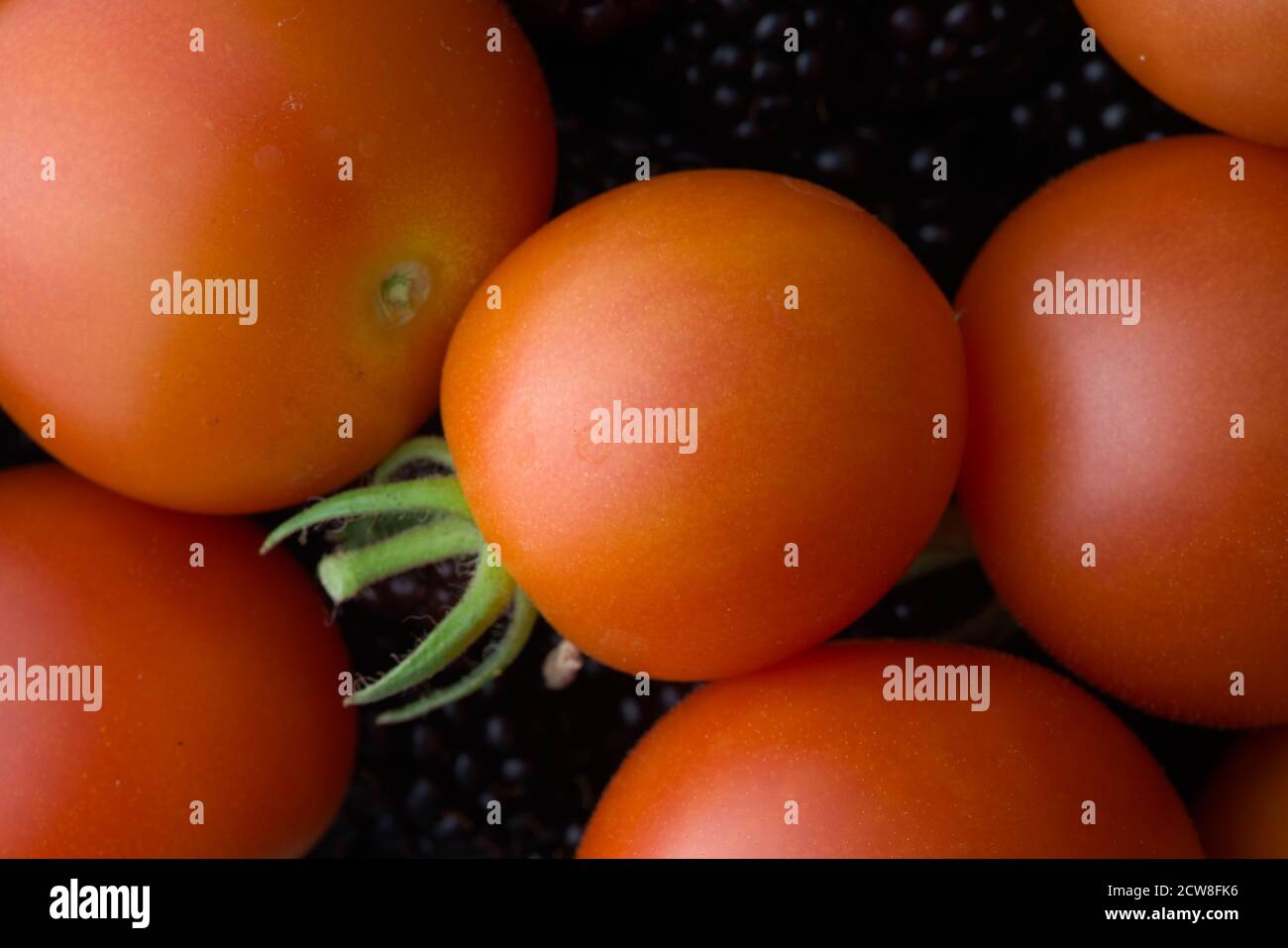 Types of garden hi-res stock photography and images - Alamy