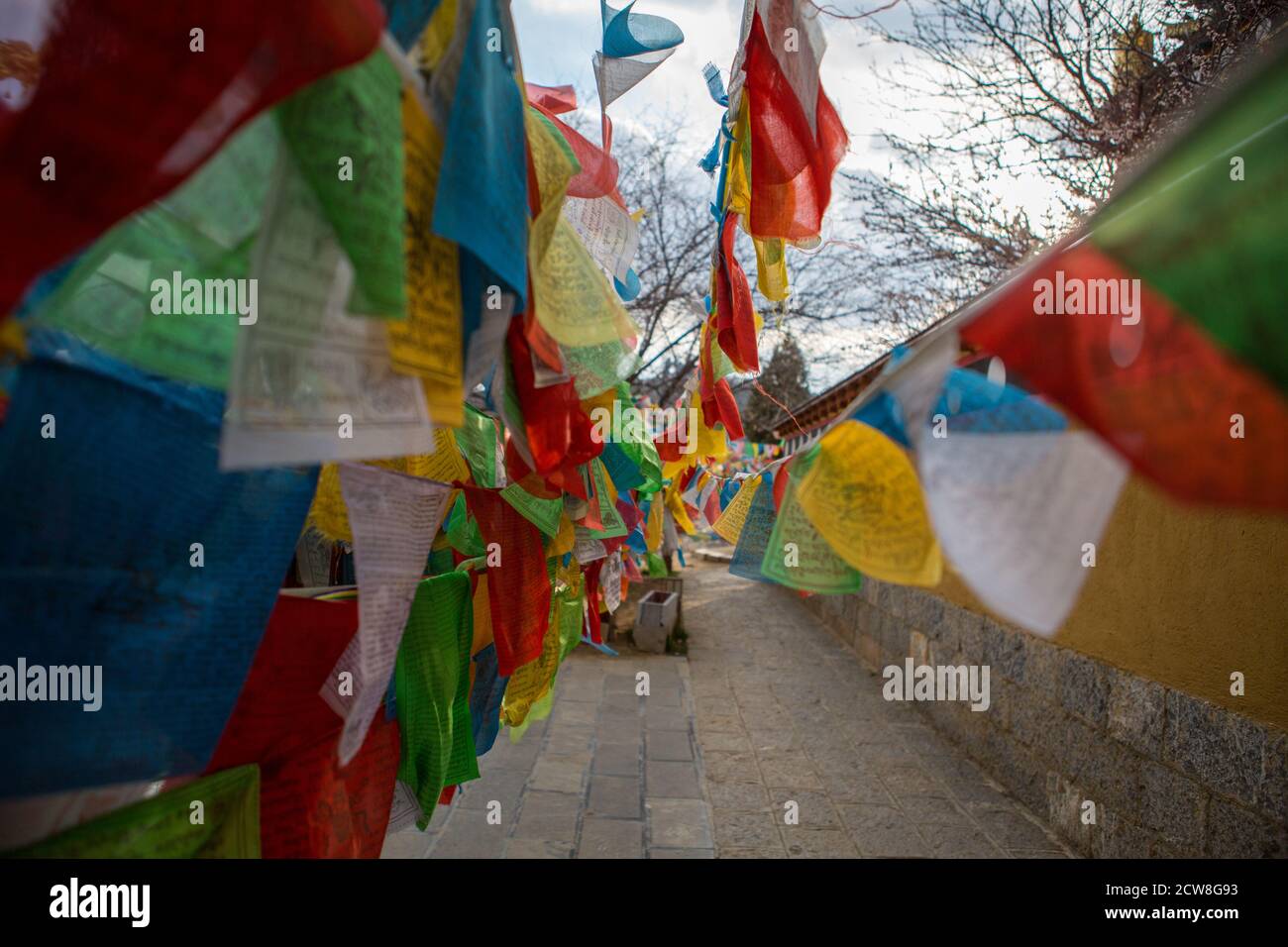 Prayer flags blow in Shangri-La, China Stock Photo - Alamy
