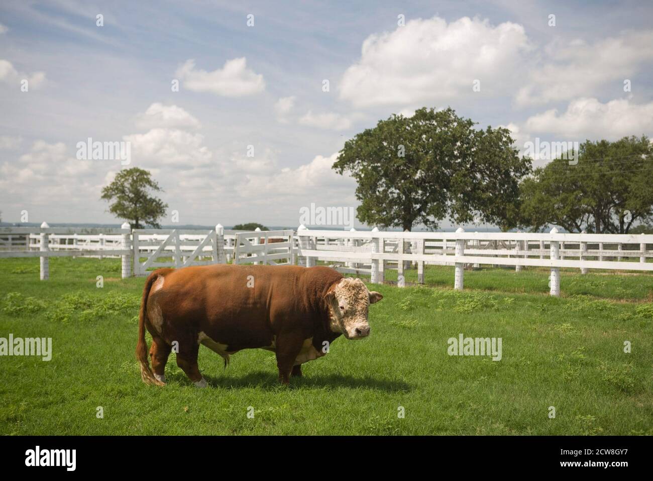 Pedernales river lbj ranch hi-res stock photography and images - Alamy