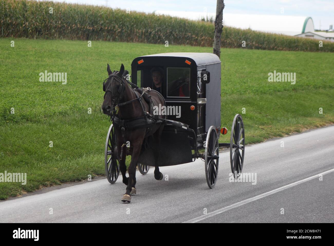 Amish way of life hi-res stock photography and images - Alamy