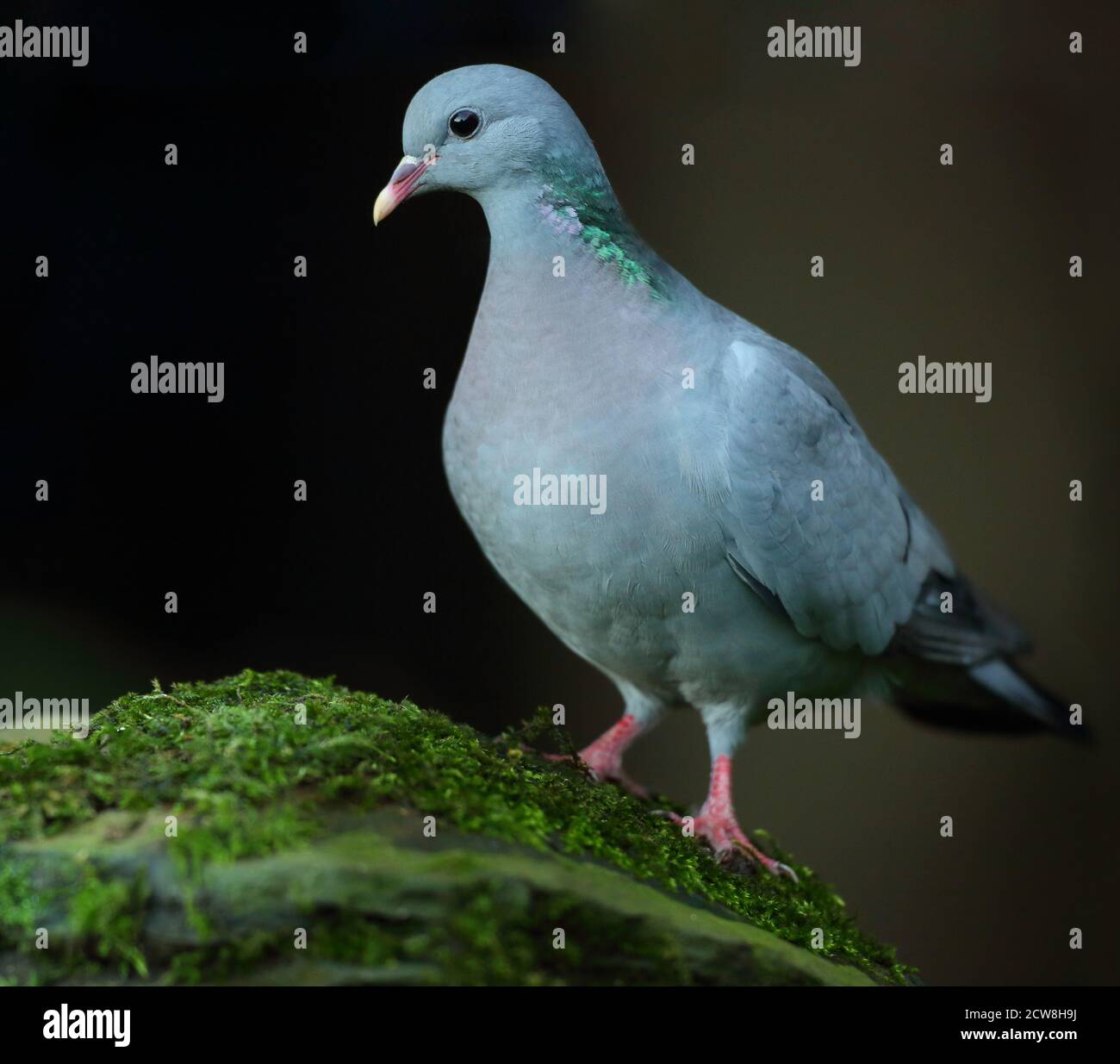 Whole body images hi-res stock photography and images - Alamy