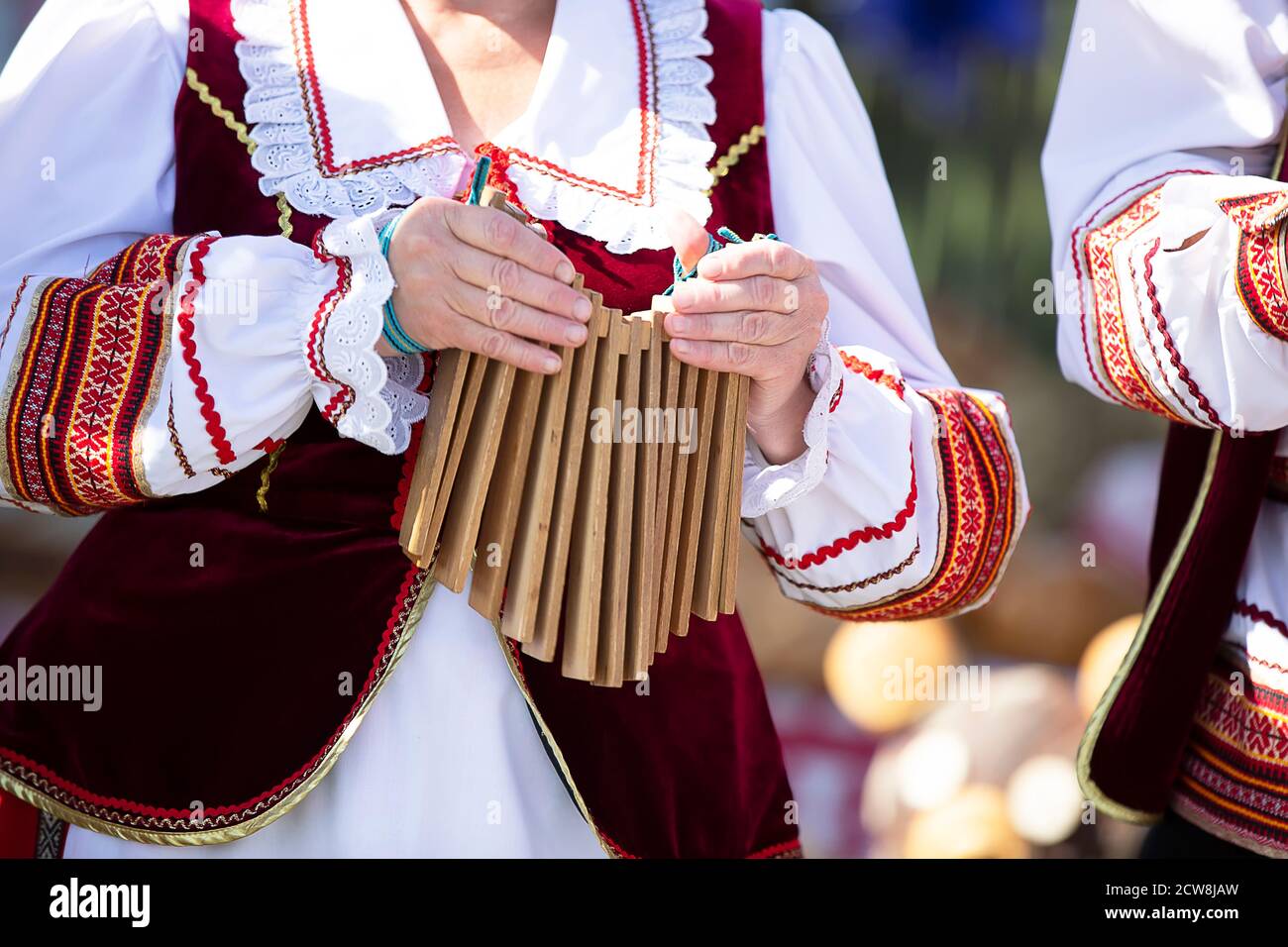 A musician in an embroidered shirt plays a ratchet on an ethnic musical ...