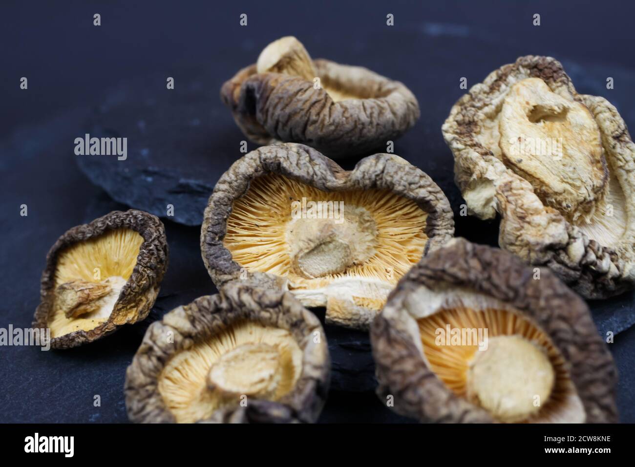 Macro closeup of isolated dried chinese shiitake mushrooms on slate ...